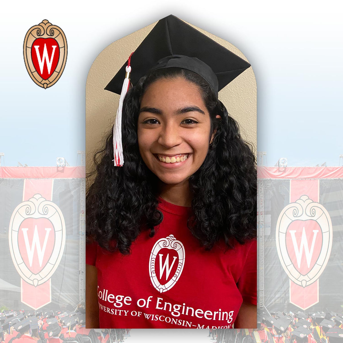 Wisconsin Graduate Bucky Boards – FanCutouts